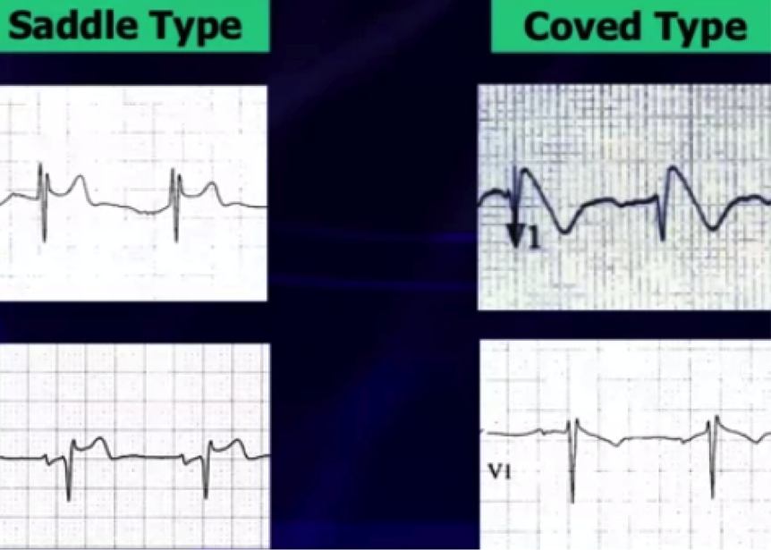 Untitled [pandionidaeblog.tumblr.com]